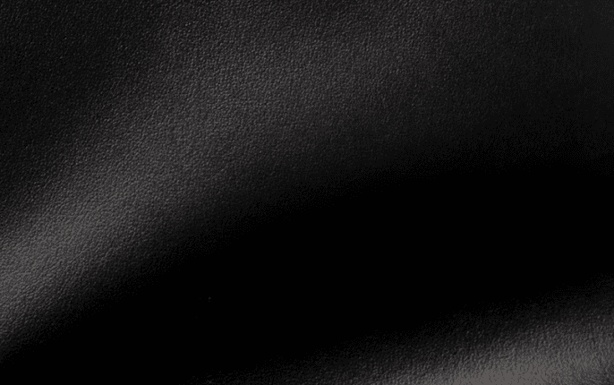Smooth Leather Texture